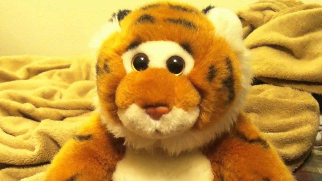 Morning With Mr. Tigey Jr.- iphone continuity - YouTube