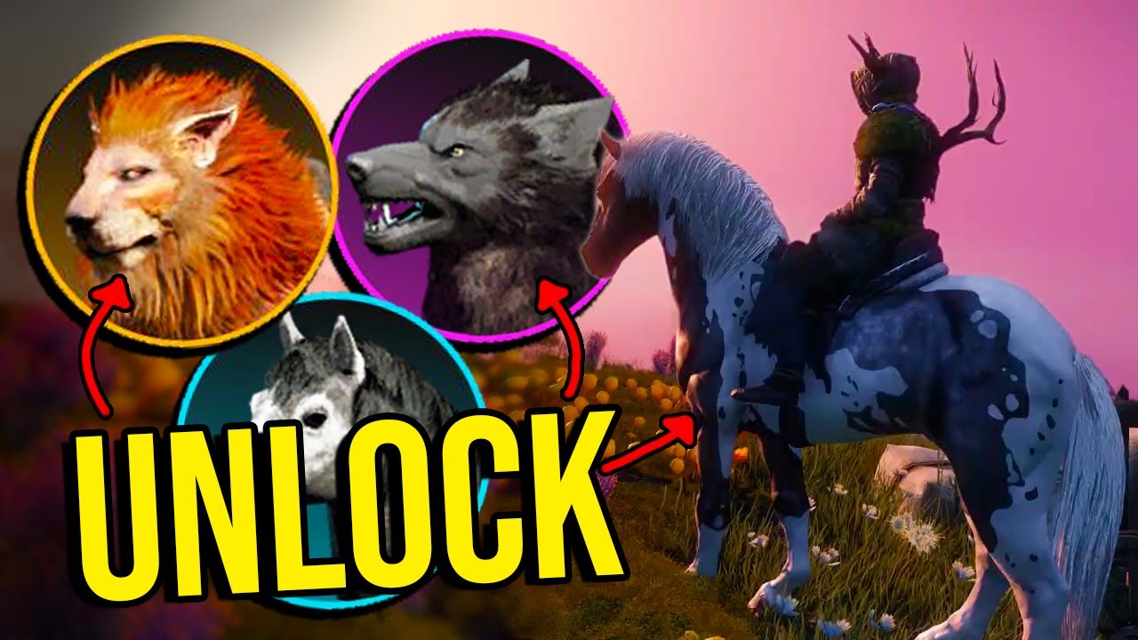 How To Unlock Mounts (Horse, Wolf & Lion) | New World Expansion - YouTube