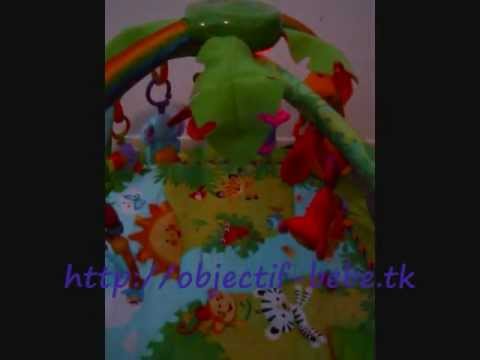 test rainforest gym - YouTube