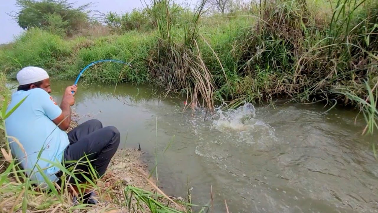 Cat Fishing |Catching The Cat Fishes In Small Hook Gal We Used Earth To ...