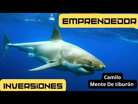 Shark Tank, Mente de Tiburón, - YouTube