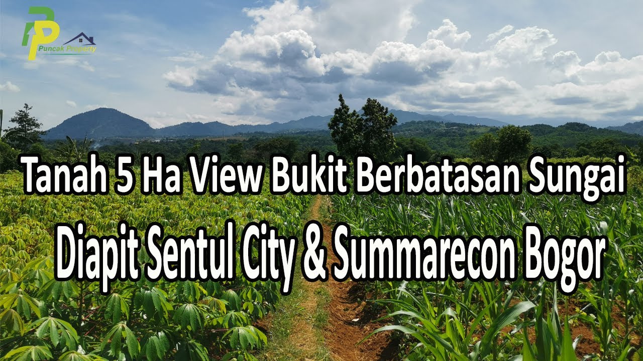 Jual Tanah Luas 5 Ha View Bukit & Batas Sungai Diapit Sentul City ...