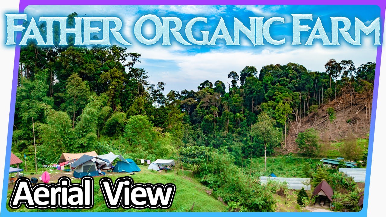 Aerial View | Father Organic Farm, Batang Kali, Selangor - YouTube