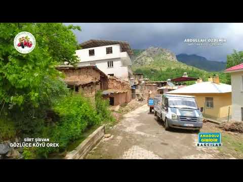 Siirt Şirvan Gözlüce Köyü| Anadolu Gibidir Bağcılar
