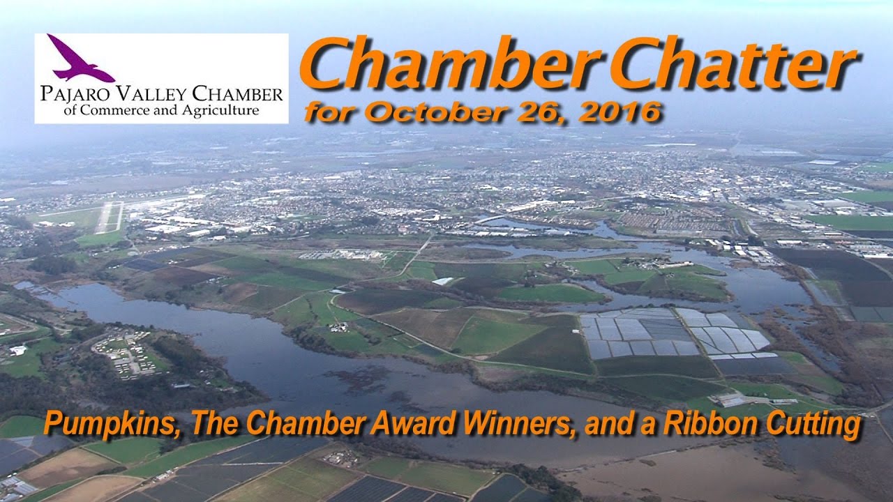 Chamber Chatter for October 26, 2016 - YouTube