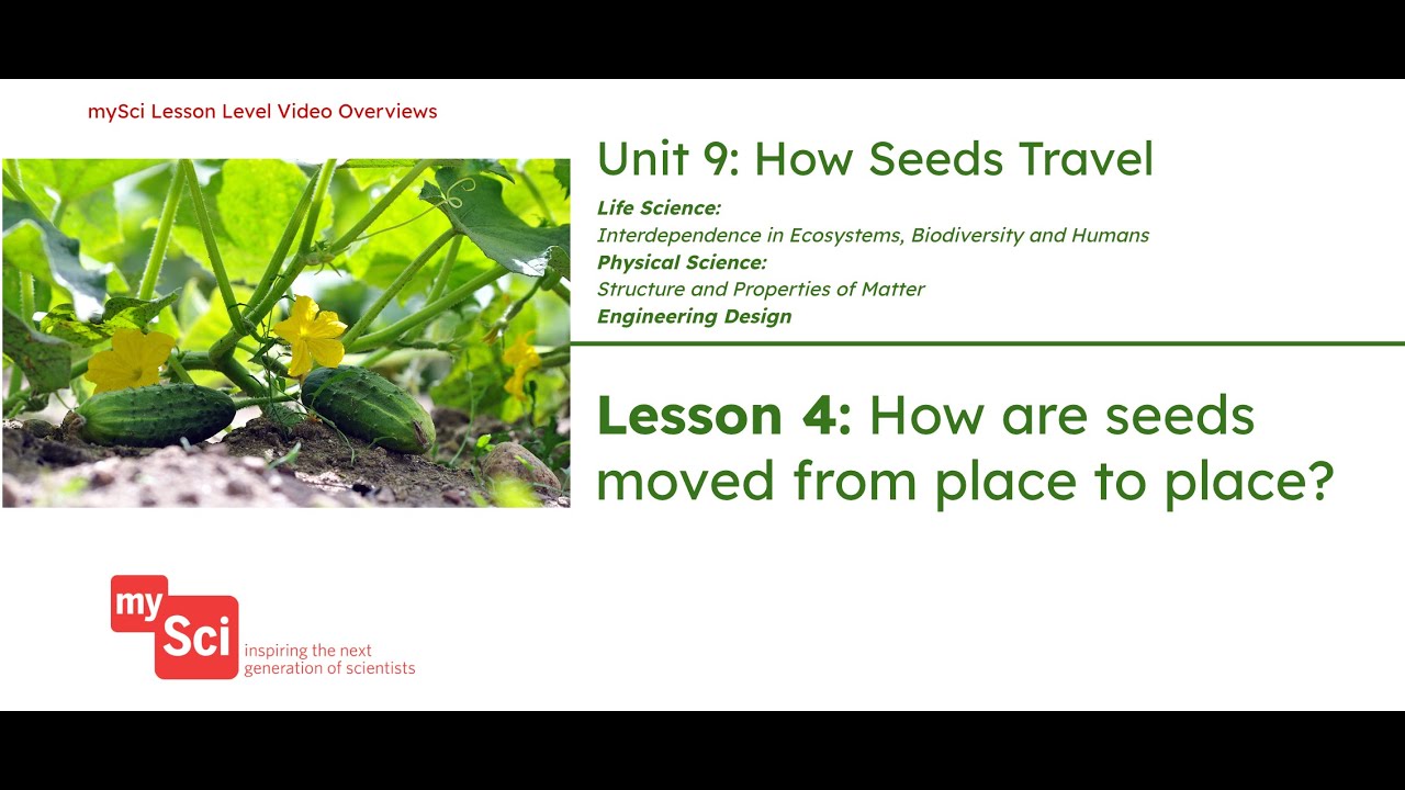 Unit 9 Lesson 4 Video - YouTube