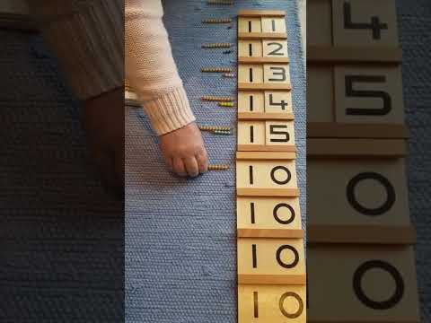 Montessori Teens Board Presentation