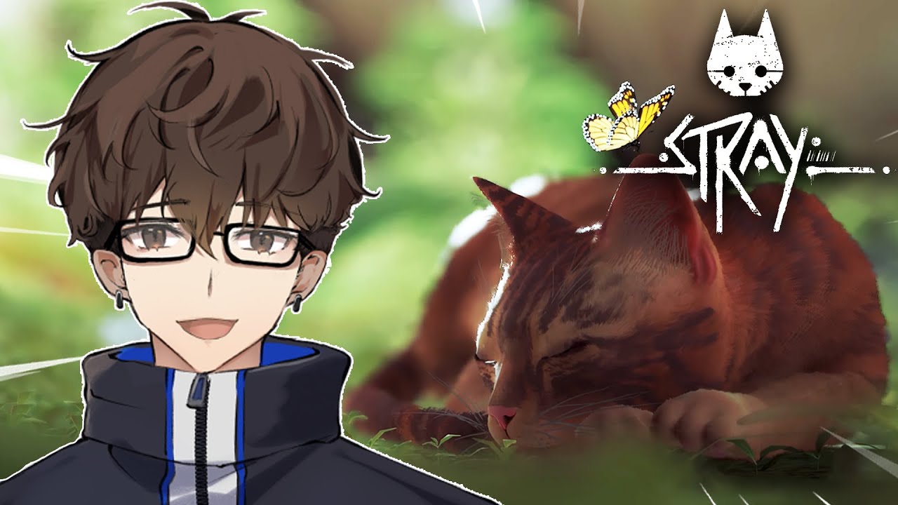 AHHH THIS GAME IS TOO CUTE!! | Stray - Part 1 - YouTube