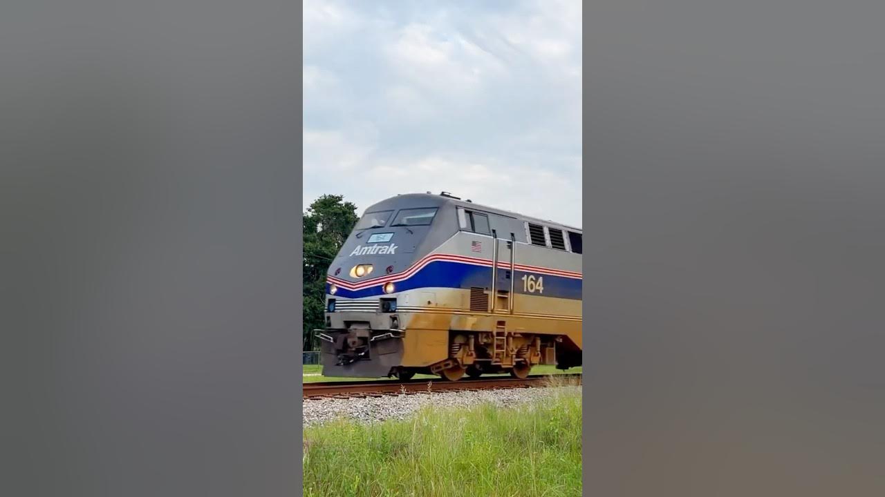 AMTK 164 flies through Loughman, FL! #train #amtrak #railfan #shorts - YouTube
