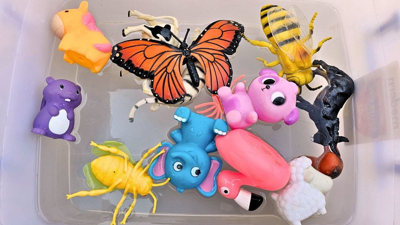 Colorful cubs and thier parents in bathtube동물원에서 부모와 함께 가장 귀여운 동물들을 ...