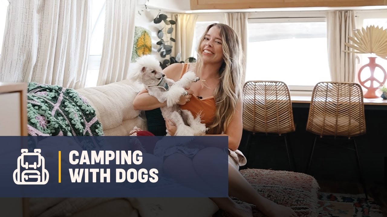 RV Living with Dogs: How to Take Care of Your Pups While on the Road ...