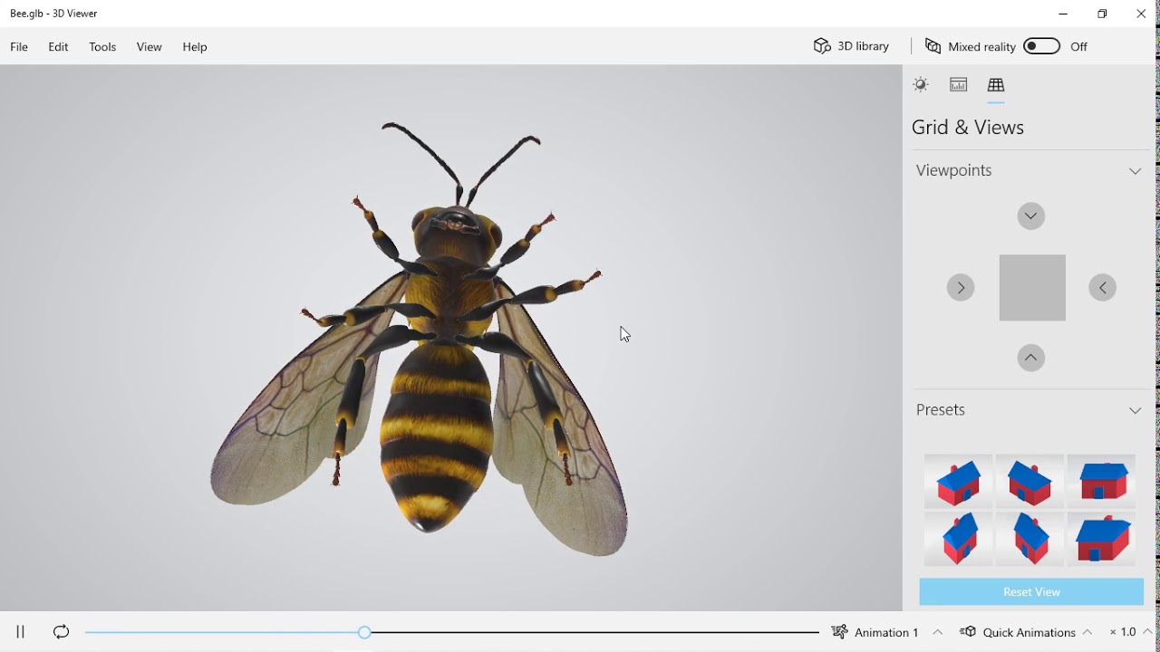 3-D Representation | Morphology of honey bees | Morphology of insects ...