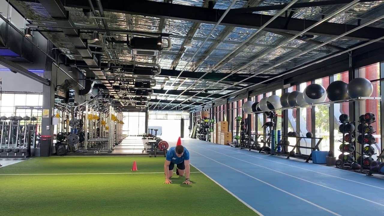 Core: Anti Extension- Linear Bear Crawl - YouTube