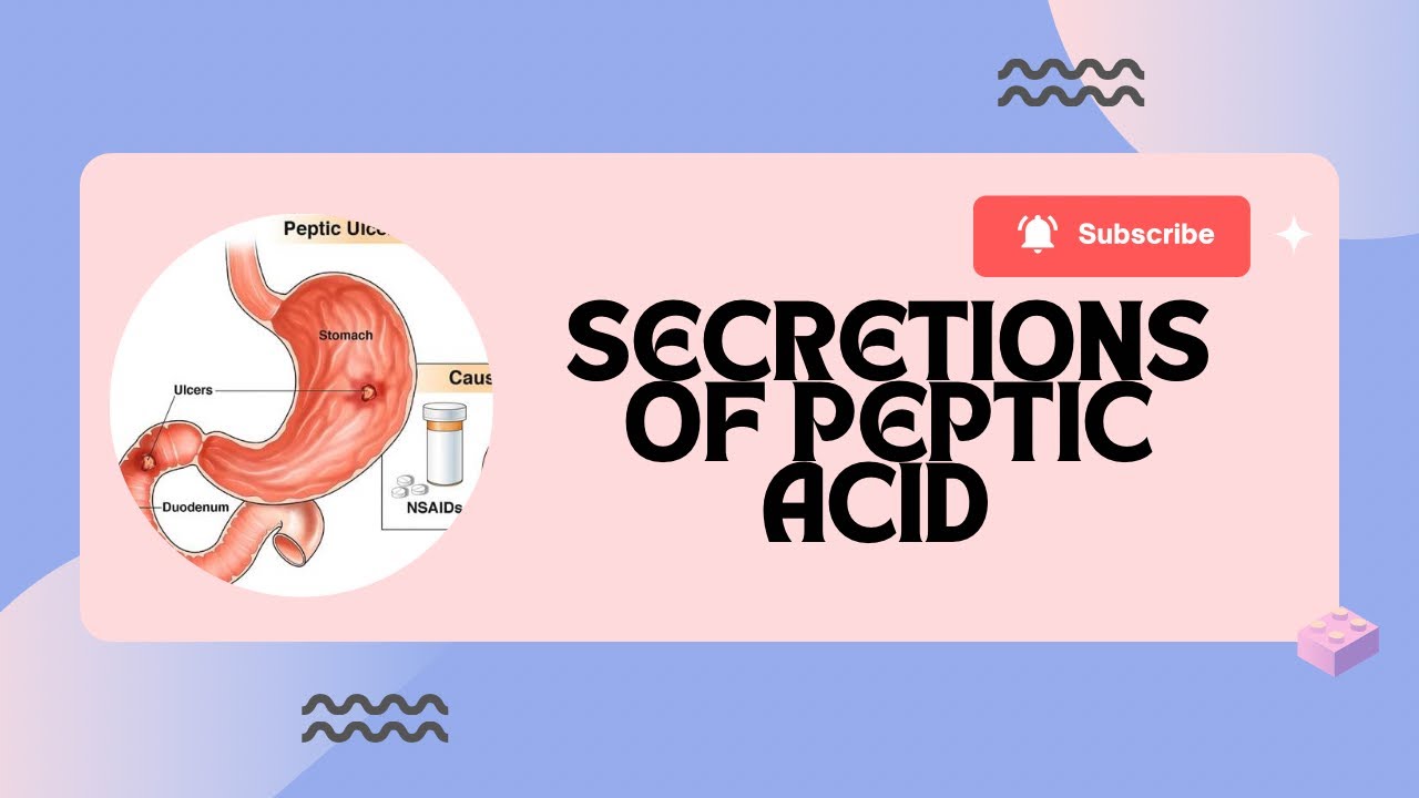 Secretion of HCL - peptic Acid -Anti peptic ulcer -stomach secretions ...