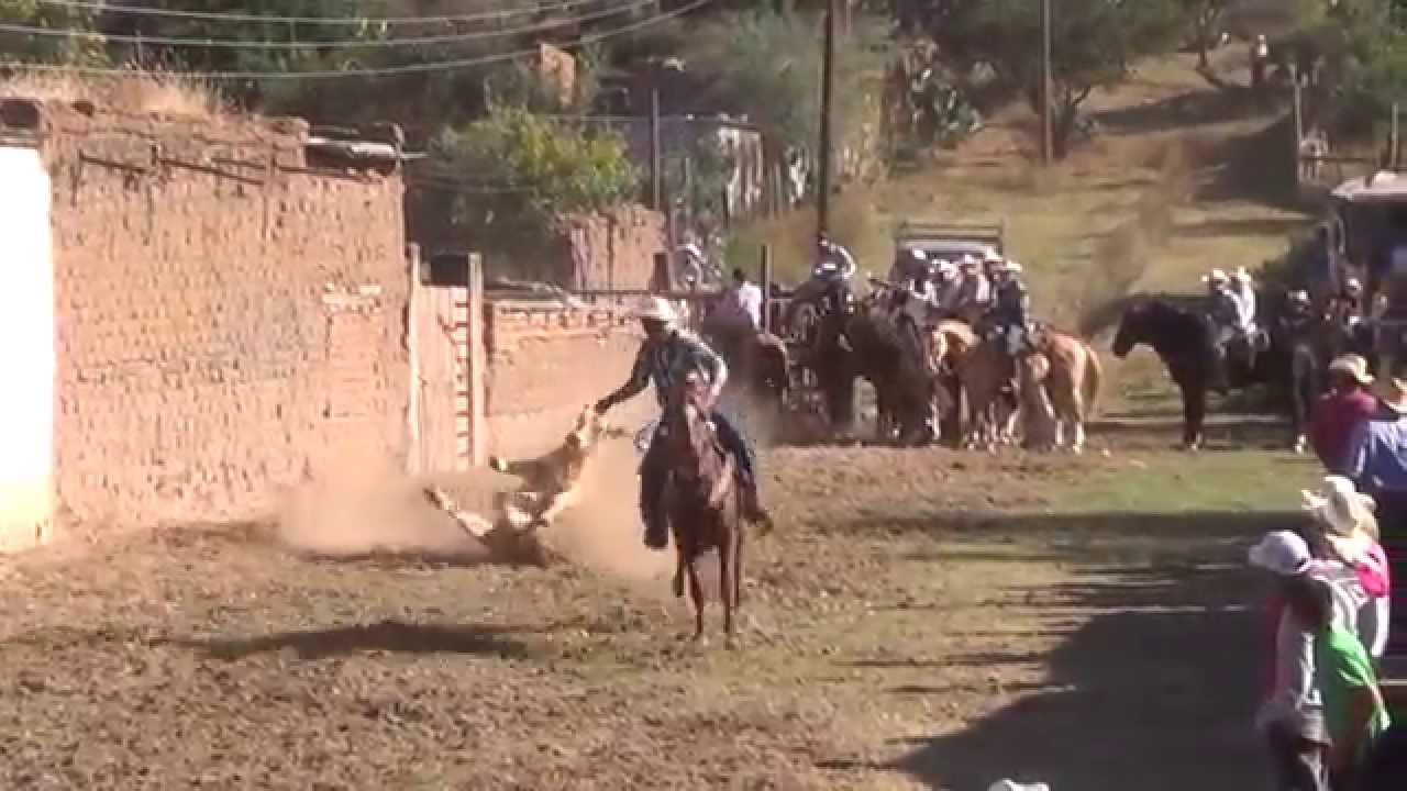 Coleadera en Tejamen Nuevo Ideal Dgo. Mex. Oct 14 - YouTube