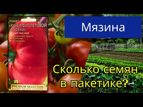 Обзор пакетика с семенами Ручей Фиолетовой собаки от Мязина. Есть ли ...