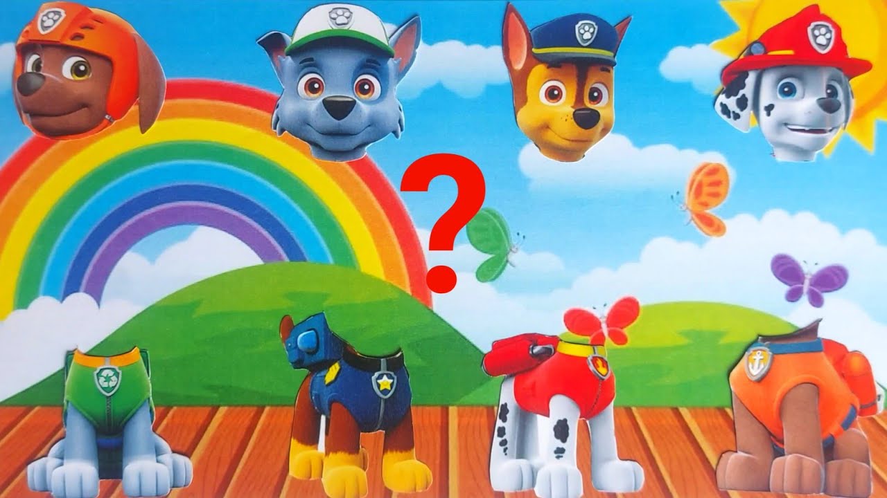 Paw Patrol Character Match! Let's Go Find the Correct Heads - YouTube