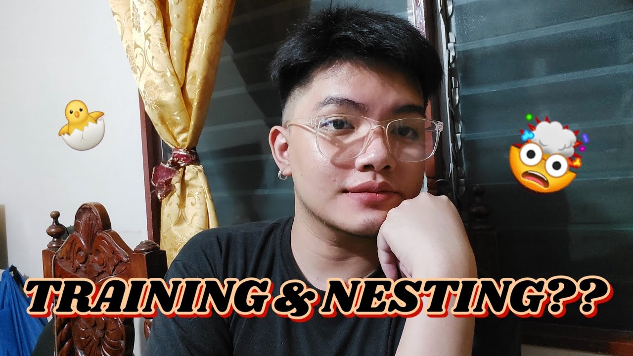 #25. HOW TO PASS YOUR TRAINING & NESTING STAGES IN BPO (BACK OFFICE ...