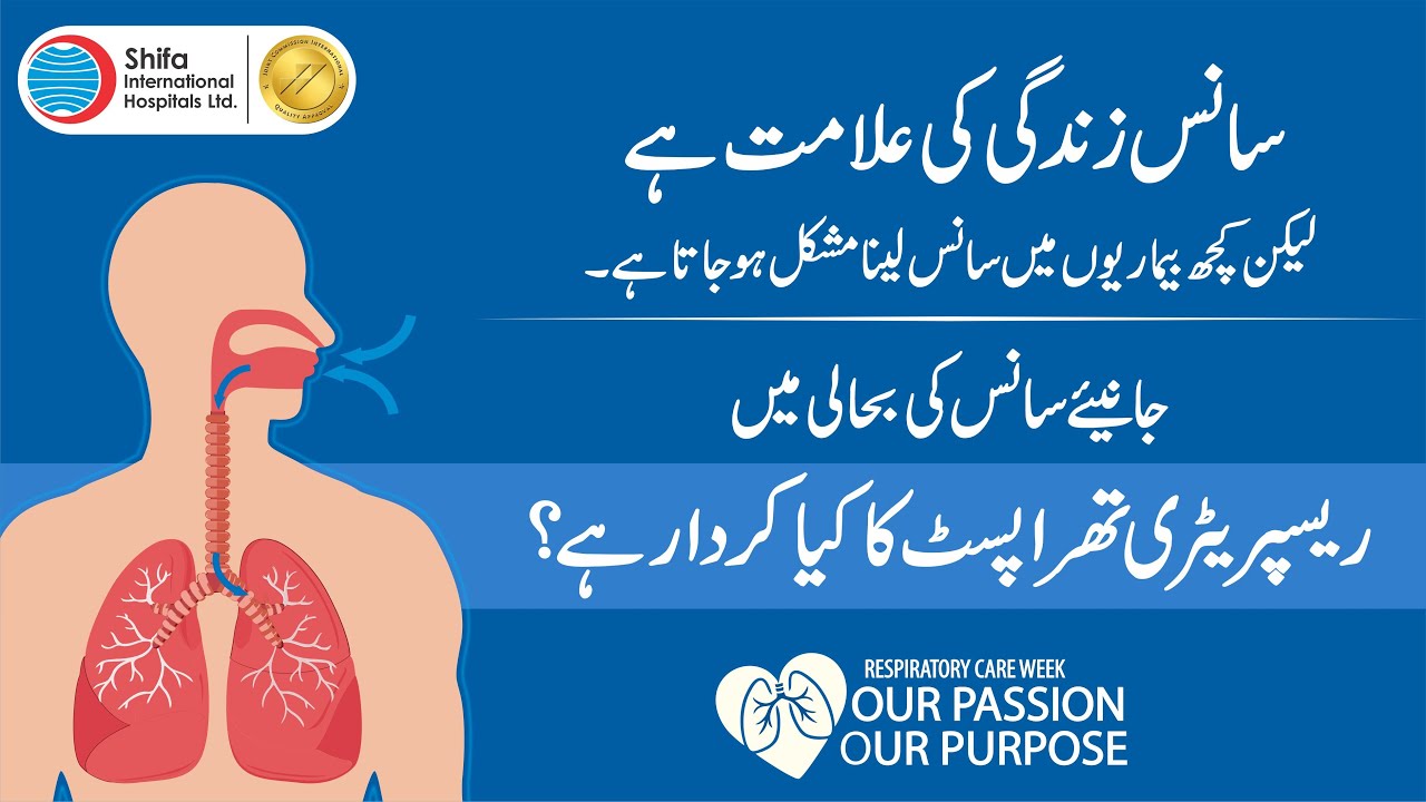 Respiratory Care Week 2023: Recognizing the Lifesavers of Lung Health ...