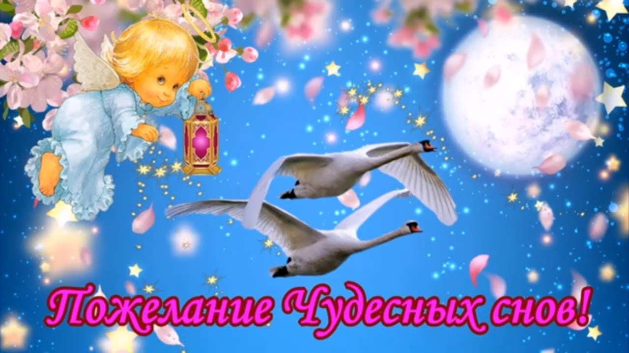 Пожелание Чудесных снов Спокойной ночи Пускай приснится то что