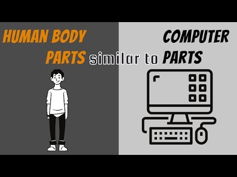 Computer parts compared to Human Body | Connecting parts of the ...