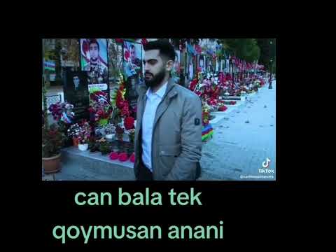 Şəhid Əmirov Emil Zaman oğlu.03.09.2023.