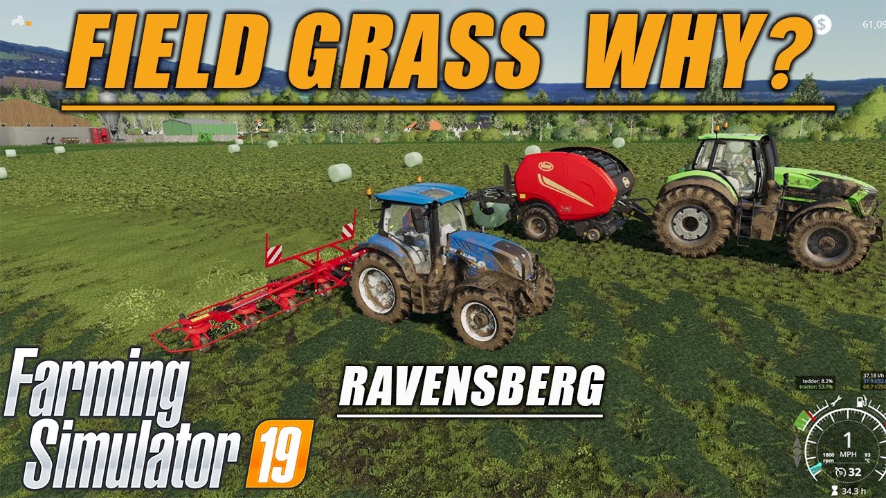 FIELD GRASS ( WHATS IT GOOD FOR )FARMING SIMULATOR 19, RAVENSBERG, LETS ...