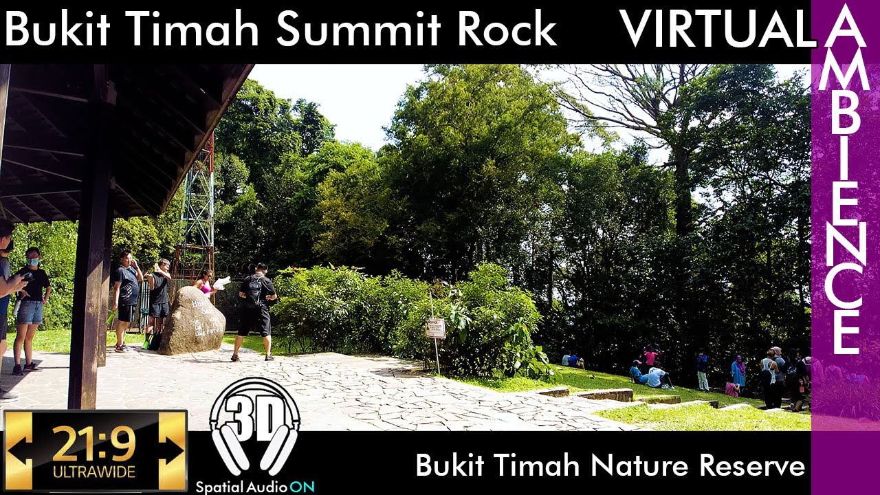Singapore Ambience - Bukit Timah Nature Reserve - Bukit Timah Summit ...