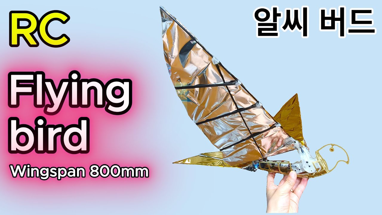 RC Flying Bird _ 하늘을 나는 새 800mm _ Ornithopter #ornithopter #오니쏩터 #bionic_bird #robotic_bird #rc ...