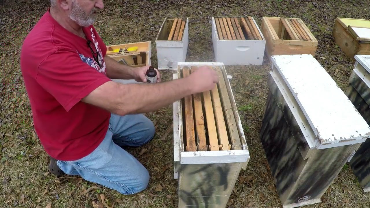 Setting Up Swarm Boxes 2 -24-2021 - YouTube