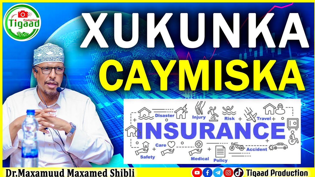 Xukunka CAYMISKA || Xukunka INSURANCE - Sh.Shibli - YouTube