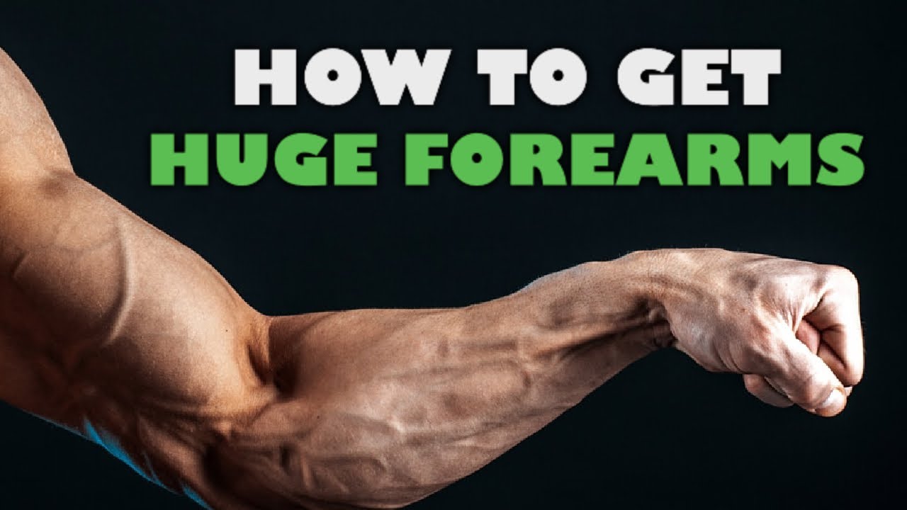 How to build HUGE forearms - YouTube