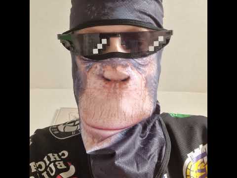 Taylor bloxham Live Stream - YouTube