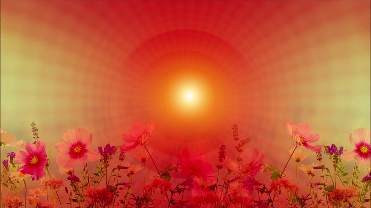 ROBIN ŠARMA / PUT I NJEGOVA VELIČANSTVENOST - ČOVEKA - PUT ...