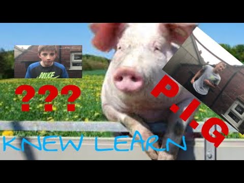 GAME OF PIG !! (New learn) - YouTube