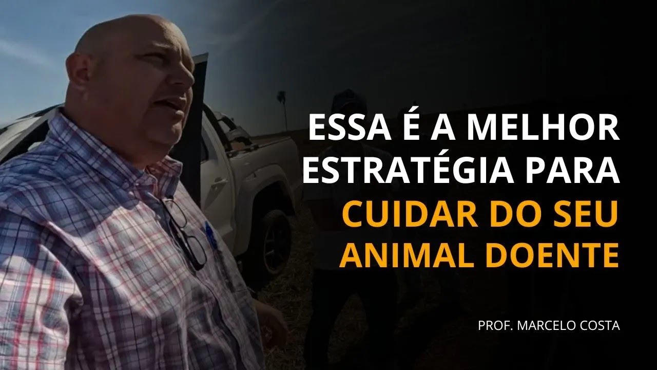 A MELHOR ESTRATÉGIA PARA CUIDAR DO SEU ANIMAL DOENTE | PROF. MARCELO ...