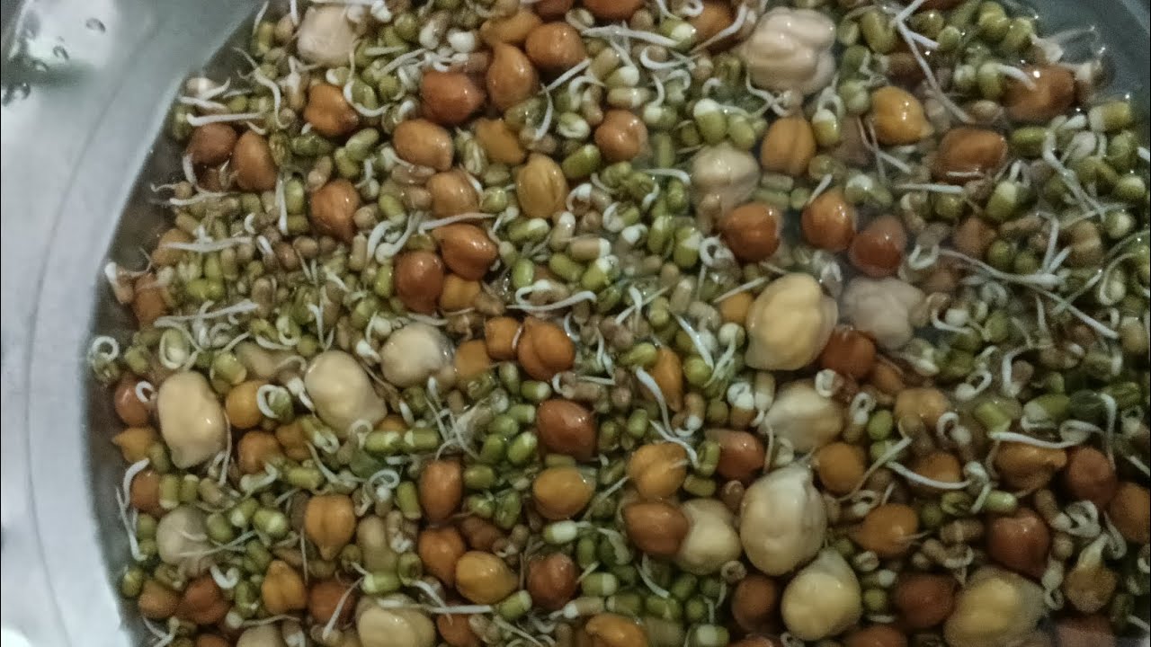 sprouts ki sabji simple recipes must watch vedio - YouTube