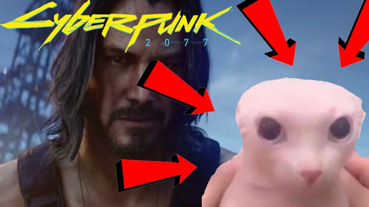 BINGUS IN CYBERPUNK 2077 *NEW* *LEAKED GAMEPLAY* - YouTube