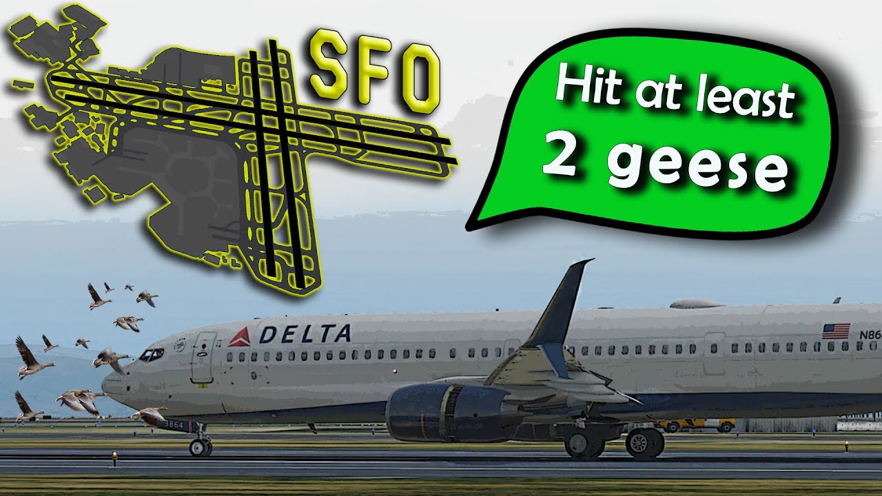 Delta B739 suffers BIRD STRIKE ON TAKEOFF at San Francisco! - YouTube