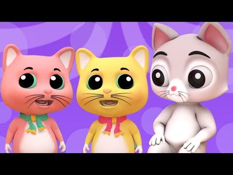 Üç Küçük Yavru Kedi | Kreş Kafiye | Songs For Children | Three Little Kittens
