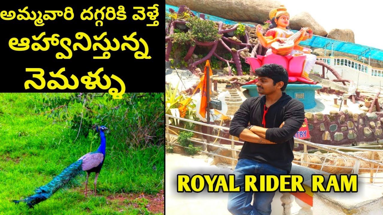 Sri Vidya Saraswati Temple wargal || Best Temple to visit in Telangana ...