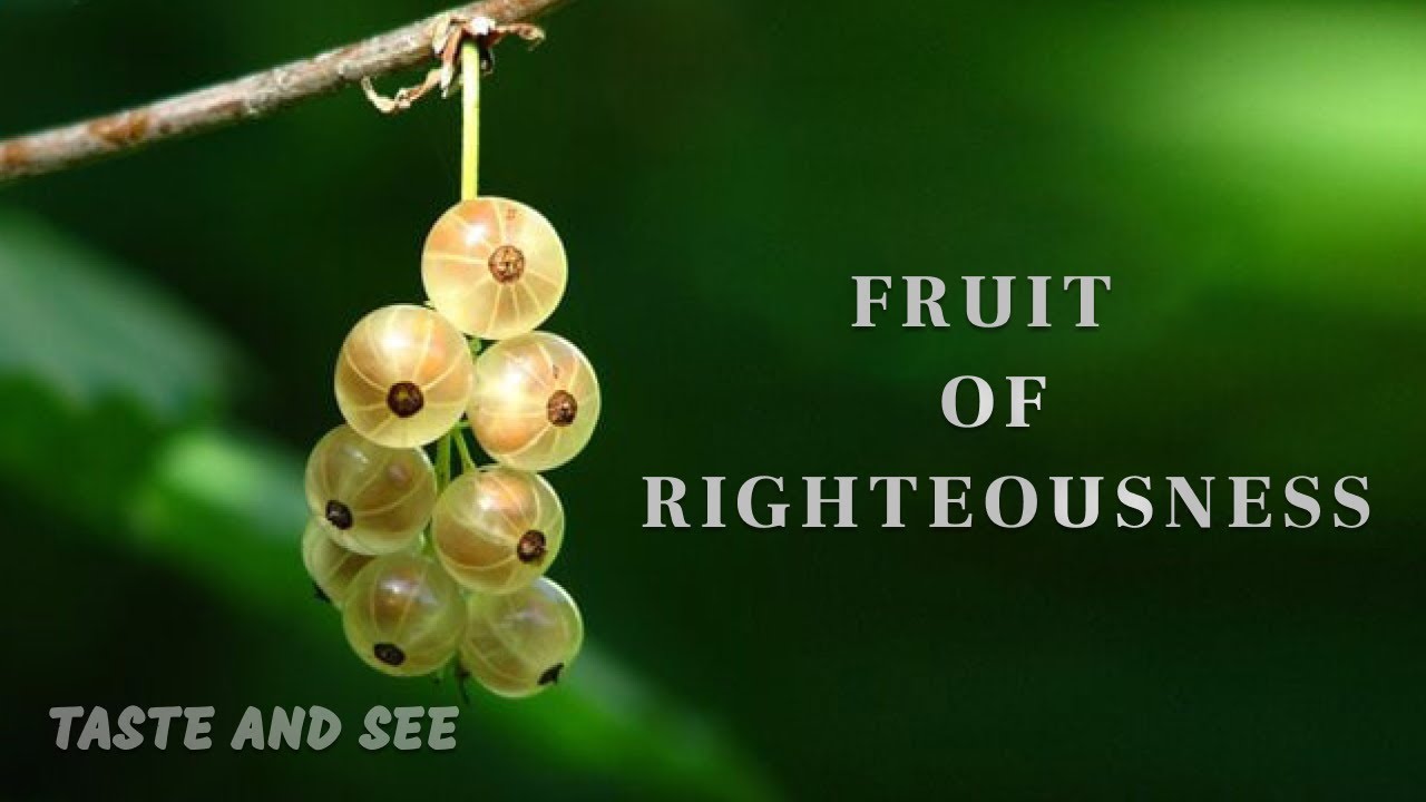 23- Fruit Of Righteousness - Taste & See - Imad Awde - YouTube