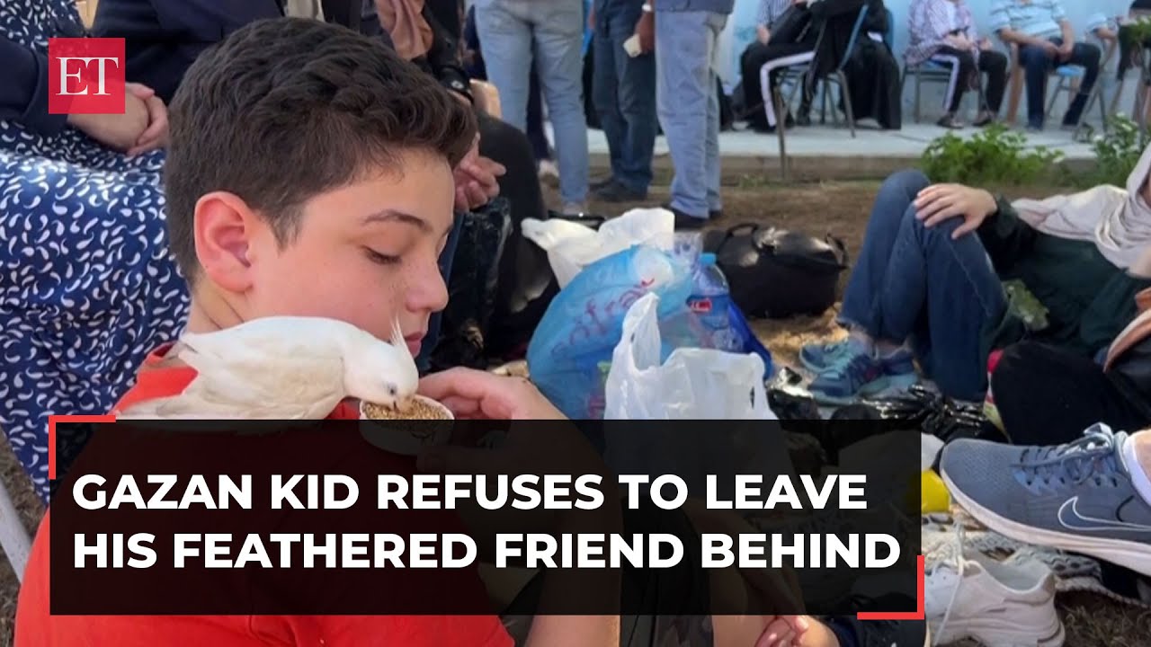'Leave North Gaza' warning: 13-year-old Gazan refuses to leave his ...