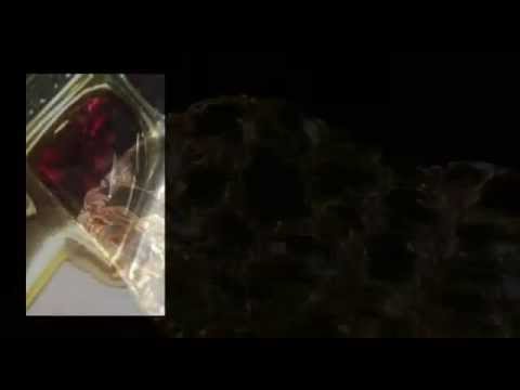 Boybeyi Mücevher - \