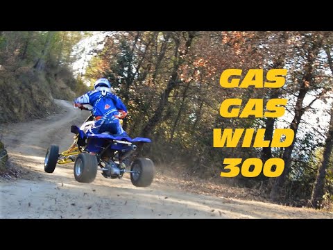 Gas Gas Wild 300 THE MONSTER QUAD Trail Shredding 2 STROKE - YouTube