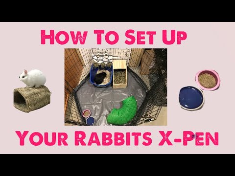 How to Set up Your Rabbits X-Pen - YouTube