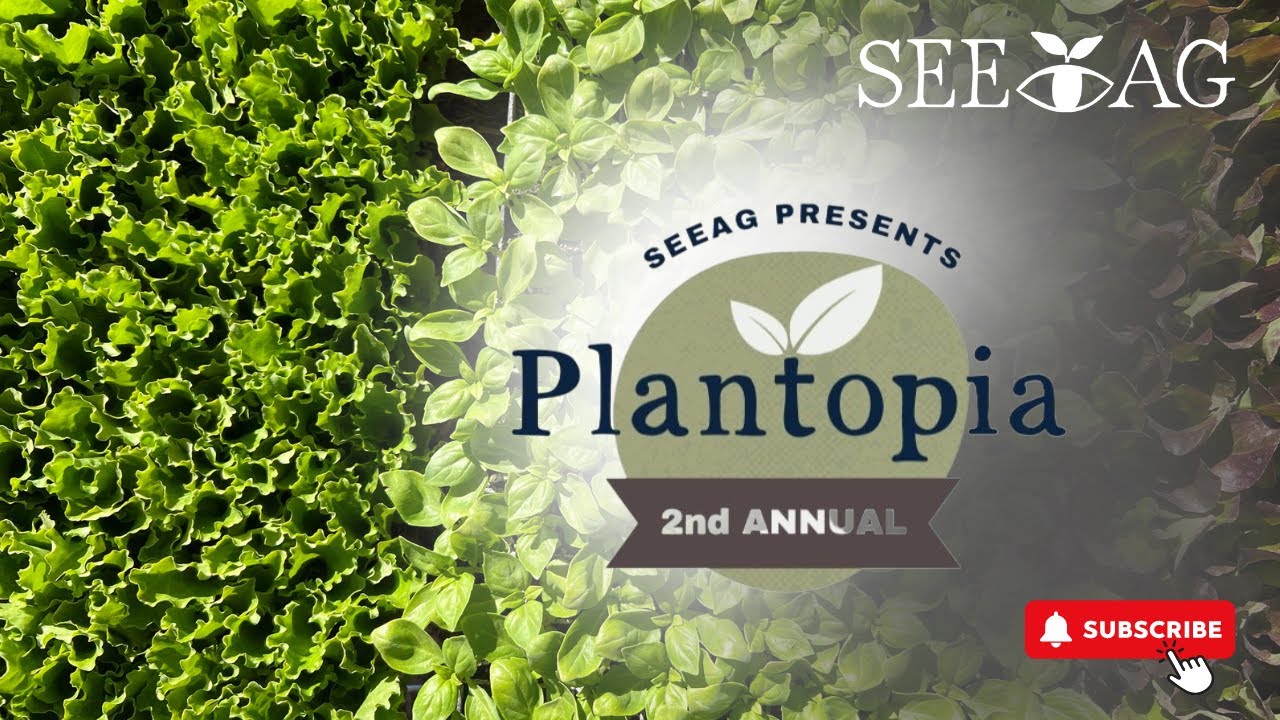 Plantopia! Seedlings for Youth Education - YouTube