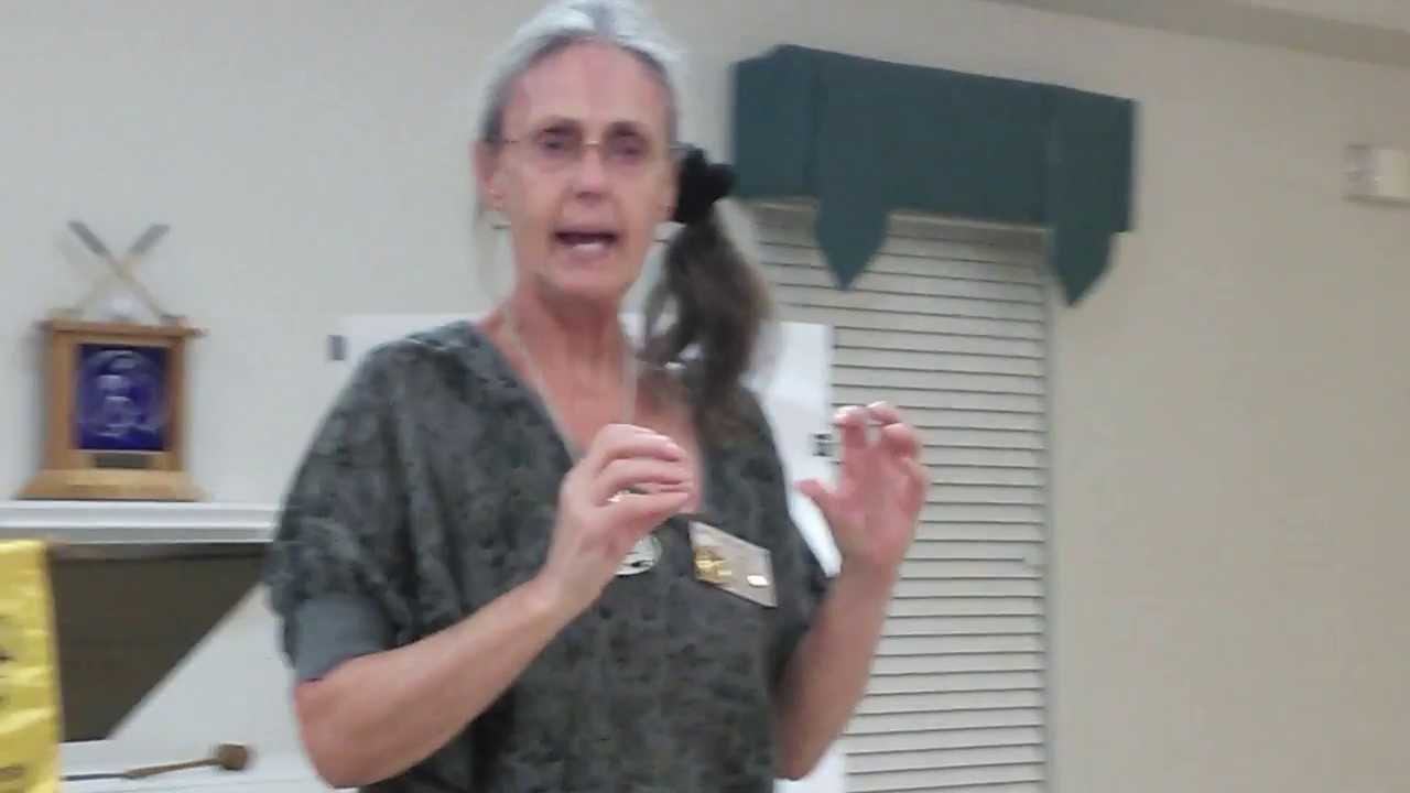 Jane's Toastmaster speech about managing a to-do list - YouTube