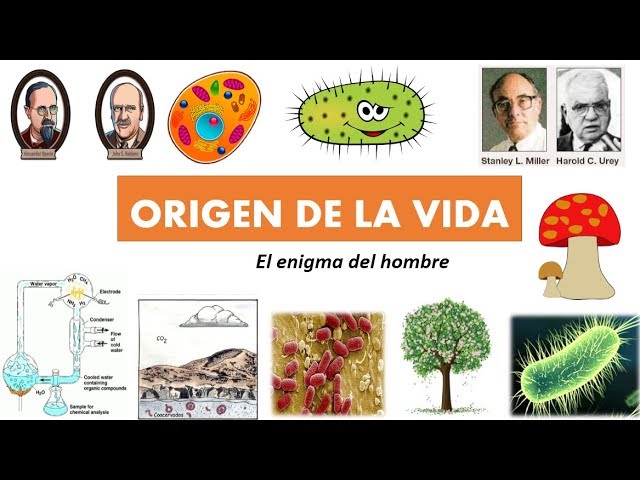 Origen De La Vida El Origen De La Vida En La Tierra? Estas Ya