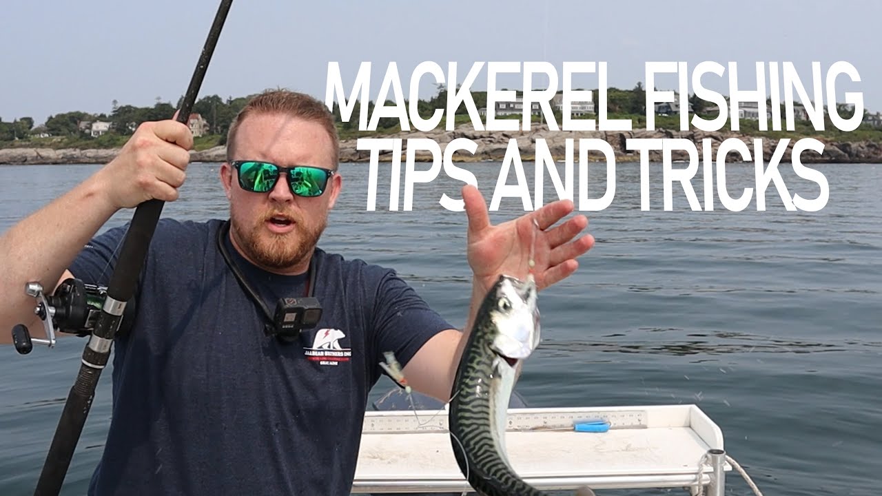 Mackerel Fishing, Tips and Tricks for catching live bait in Maine. - YouTube